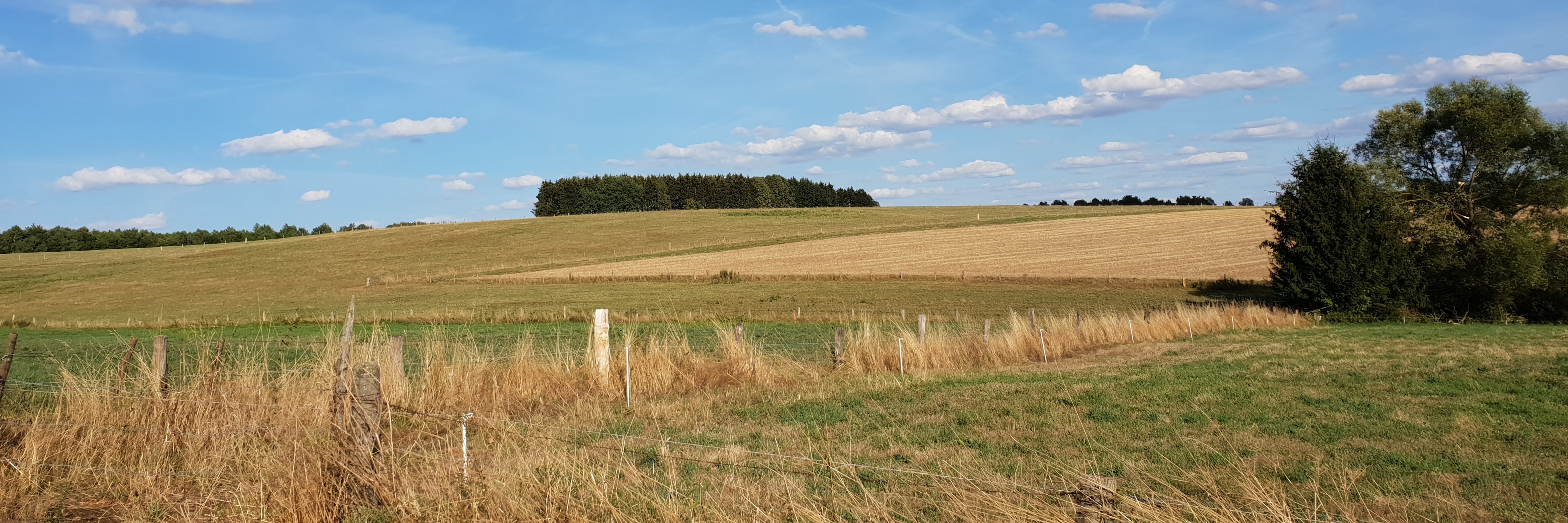 Stadt Dierdorf | Verbandsgemeinde Dierdorf