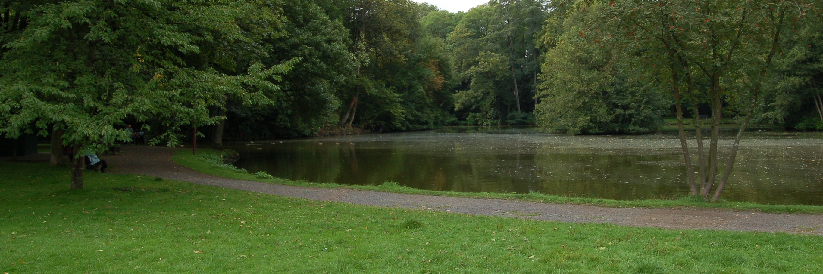 Wissenswertes | Verbandsgemeinde Dierdorf