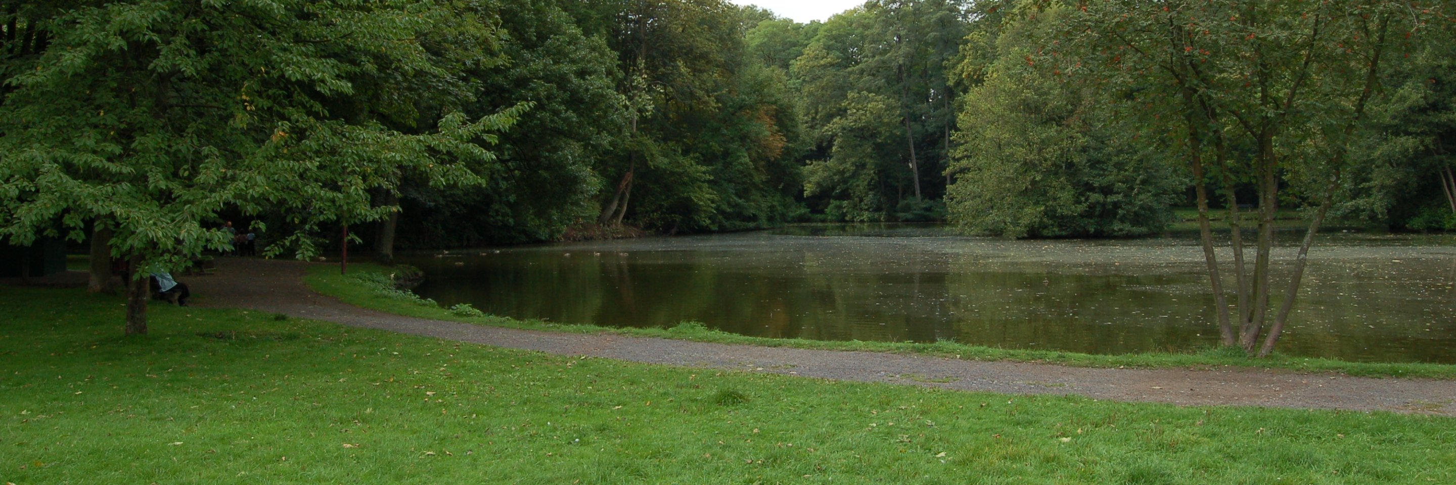 Wissenswertes | Verbandsgemeinde Dierdorf